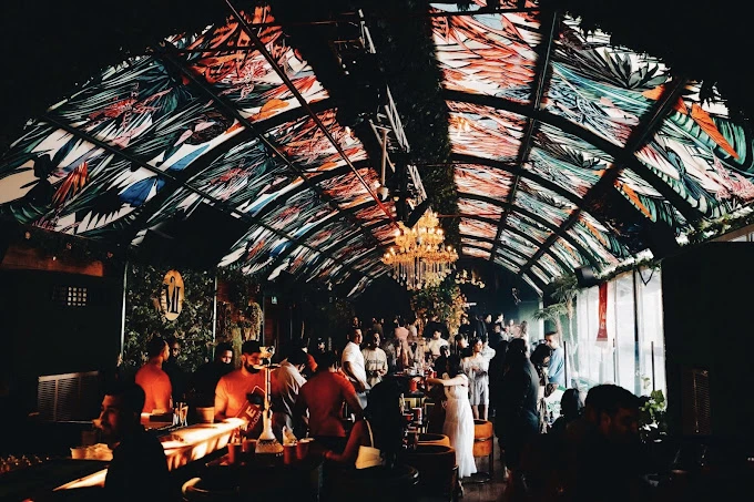 Vii Dubai - Secret Garden Lounge: Luxury Nightlife Experience - HECT India