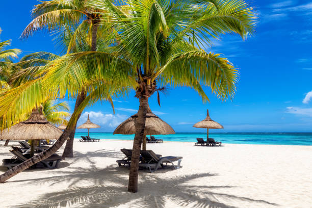 Tropical Bliss Awaits: Your Guide to a Mauritius Adventure - HECT India