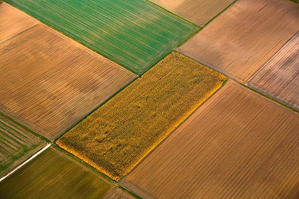 Convert Hectare to Acre | Easy Hectare to Acre Calculator Online - HECT ...